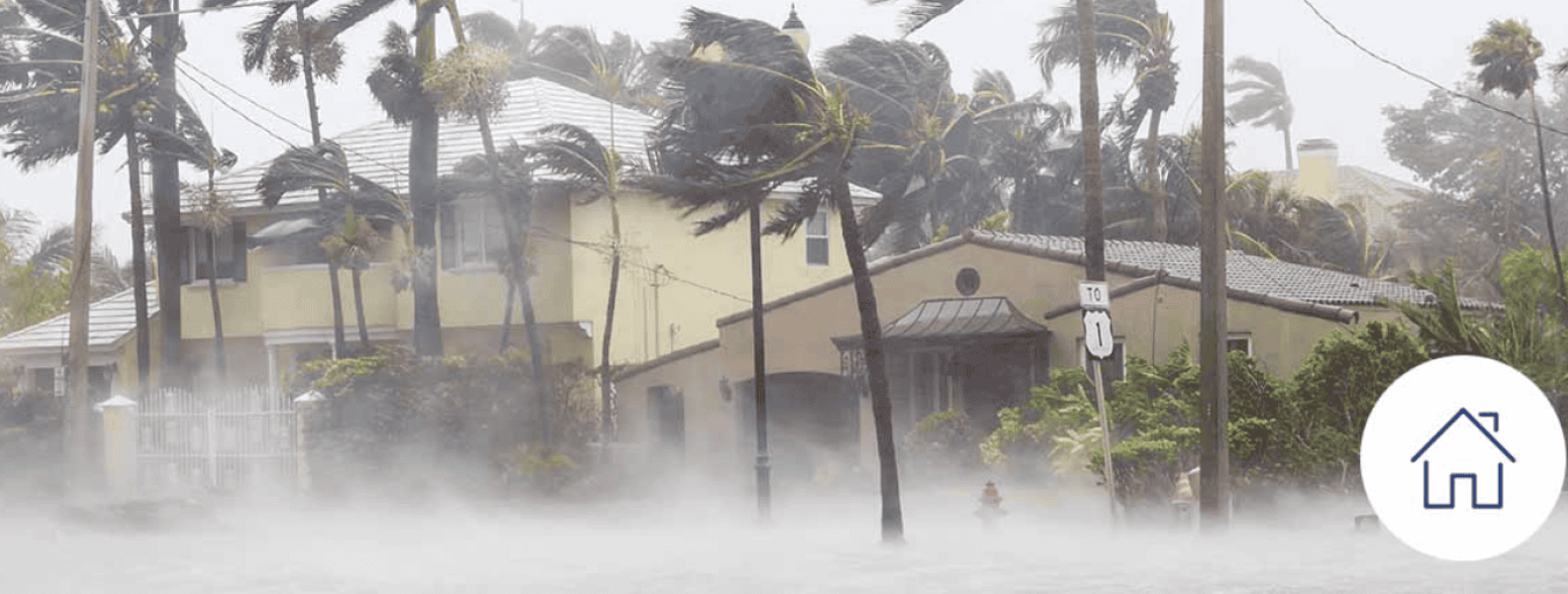 The Importance of Wind Damage Coverage in Florida